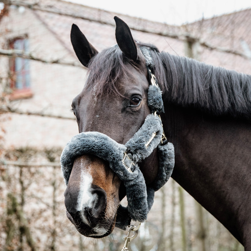 Kentucky Horsewear Sheepskin Headcollar UK | Just Equine