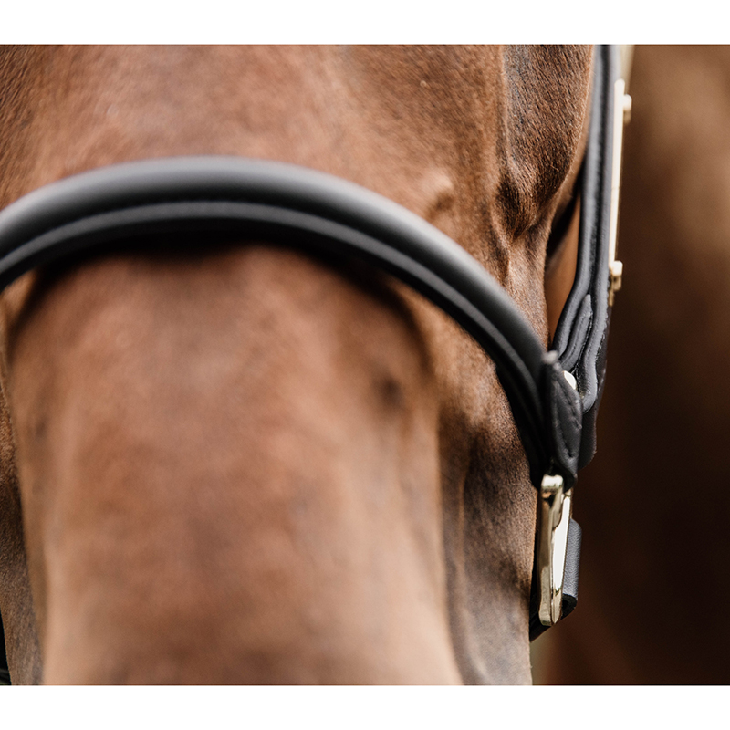 Kentucky Horsewear Anatomic Leather Head Collar UK | Just Equine