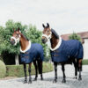Kentucky Horsewear Show Rug UK | Just Equine