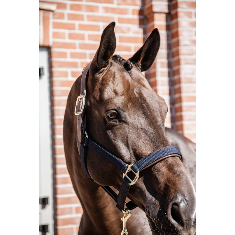 Stylish Anatomic Nylon Head Collar By Kentucky Horsewear